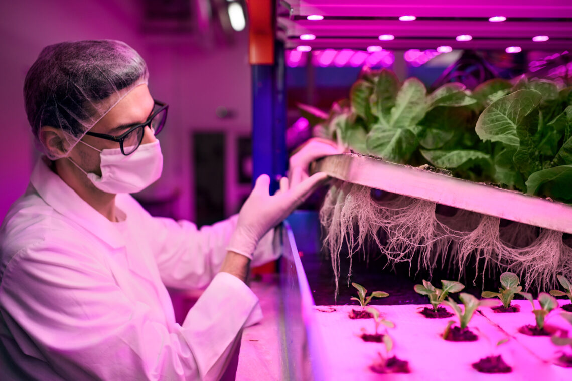 Aquaponics: kweek zelf vis en groenten in een gesloten systeem
